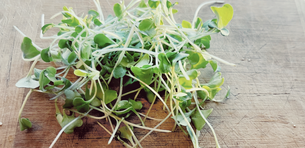 Power of Sprouts - Lisa Chulich